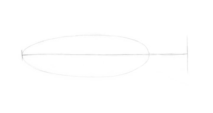 How to Draw a Fish | Envato Tuts+