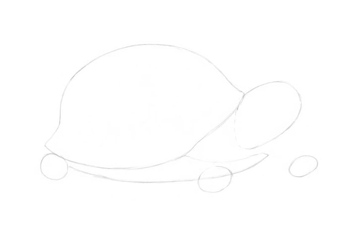 How to Draw a Turtle | Envato Tuts+