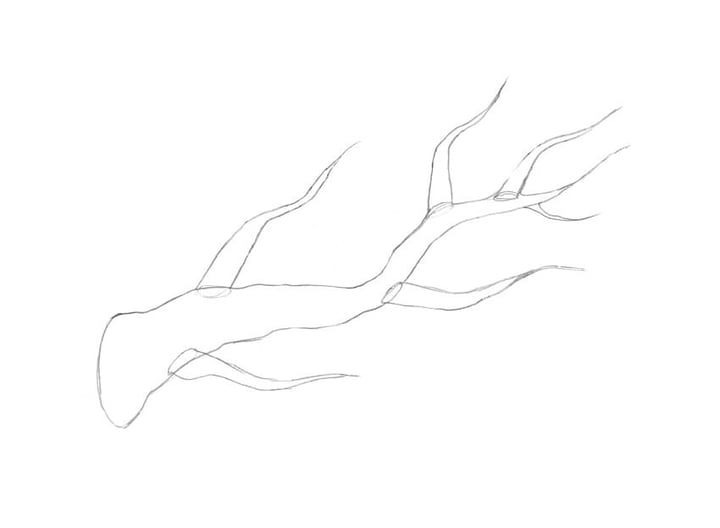 How to Draw a Tree | Envato Tuts+