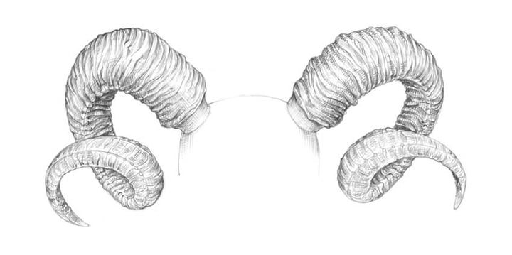 How to Draw Horns