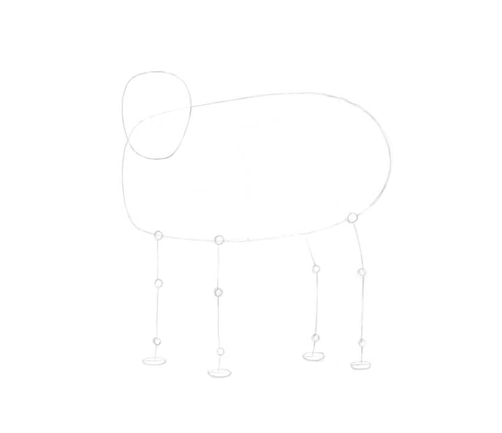 How to Draw a Sheep | Envato Tuts+