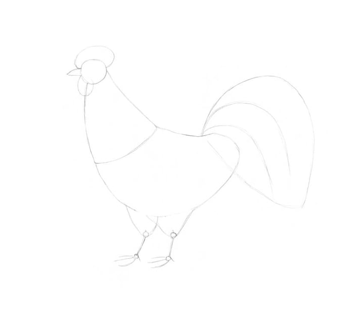 Cómo Dibujar una Gallina y un Gallo | Envato Tuts+