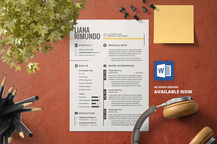 What Is a Resume? Your Guide to: Purpose & Definition (+Top Examples ...