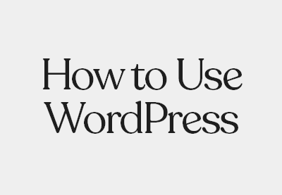 The History of WordPress: From 2003 to today | Envato Tuts+