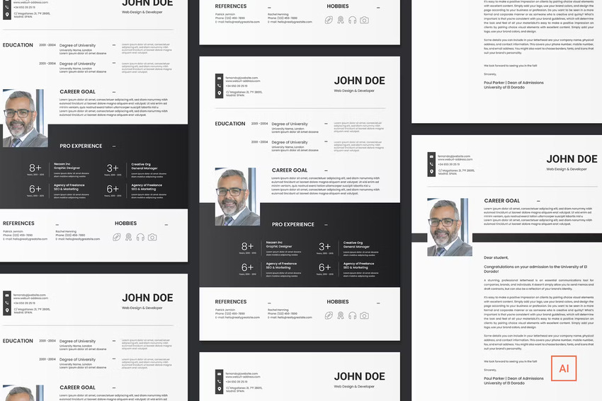 30+ Best Infographic Resume Templates (Creative Examples for 2025 ...