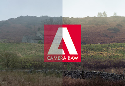 3 Contrast Change Techniques for Adobe Camera Raw to Create Subtler ...